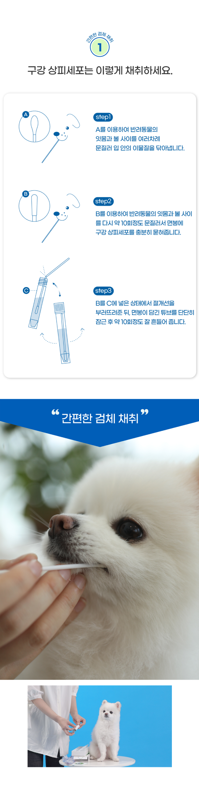 도그마 - 주식회사 피터페터